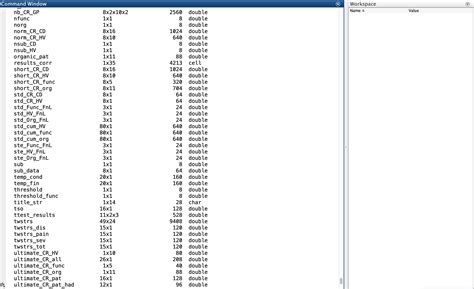 Matlab Why Is My Workspace Window Empty While I Can See My Variables