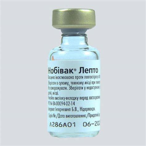 Нобивак Lepto Intervet - 1 доза, цена 100 грн — Prom.ua (ID#1606948759)