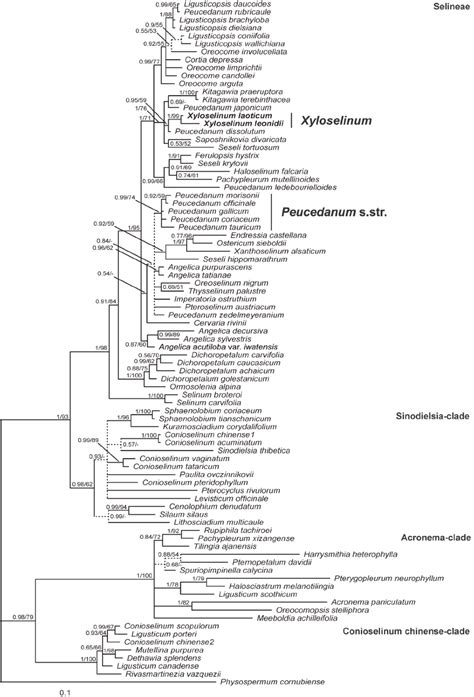 the bayesian tree obtained from analysis of 86 nrits sequences branch