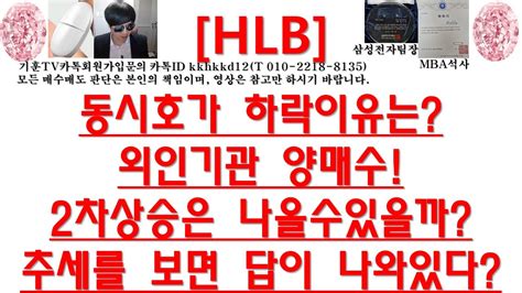 주식투자 Hlb동시호가 하락이유는외인기관 양매수2차상승은 나올수있을까추세를 보면 답이 나와있다 Youtube