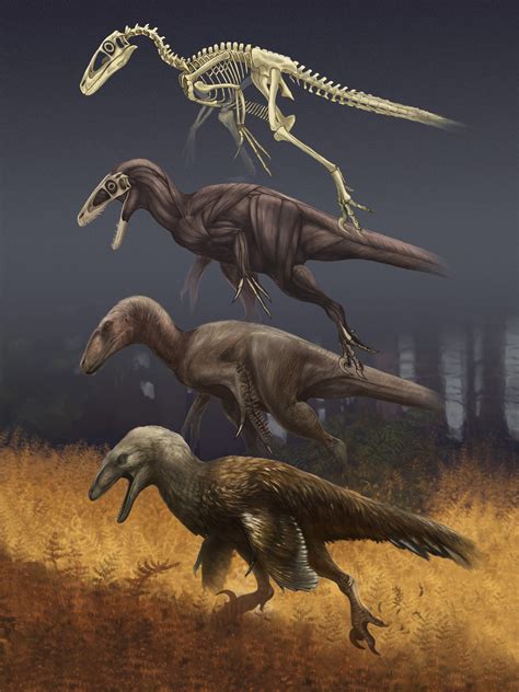 Deinonychus Vs Tyrannosaurus