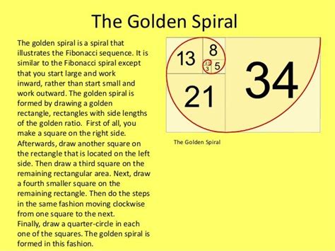 Fibonacci Fibonacci Sequence Meaningful Life