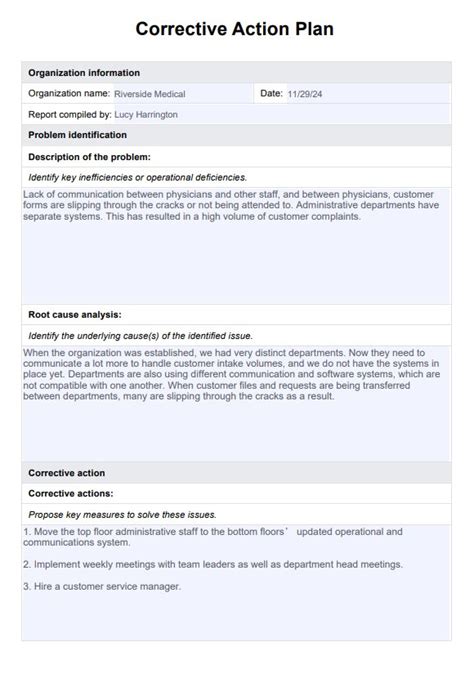 Corrective Action Plan Letter Format Sle