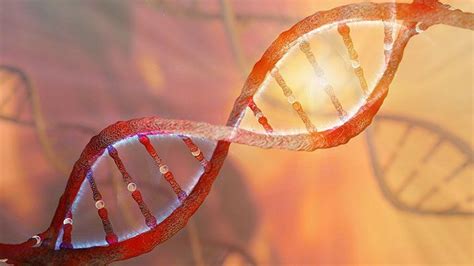 Types Of Hereditary Amyloidosis Christ Memorial