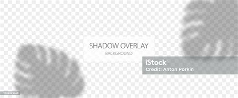 투명 배경에 그림자 오버레이 효과 몬스터의 잎에서 그림자 자연 조명 벡터 0명에 대한 스톡 벡터 아트 및 기타 이미지 0명 3차원 형태 가을 Istock