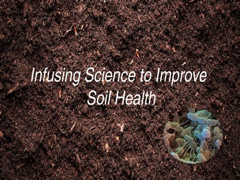 Unleashing The Power Of Soil Microorganisms Biosoilz