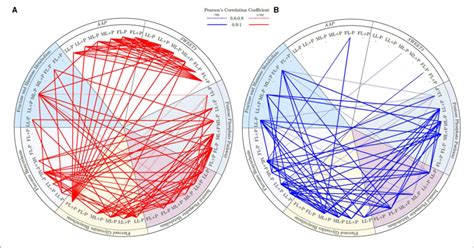 A B Circular Representation Of The Correlation Between Genes Under Download Scientific