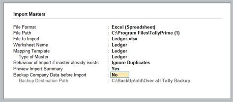 Import Ledgers From Excel Into Tally Prime