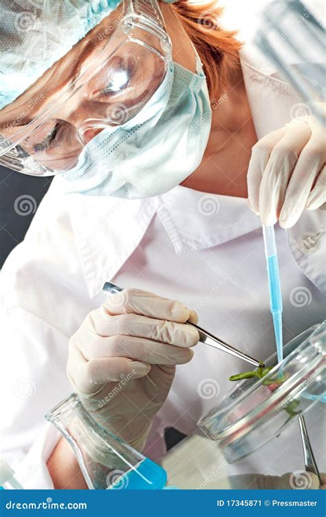 Biological Experiment Stock Image Image 17345871