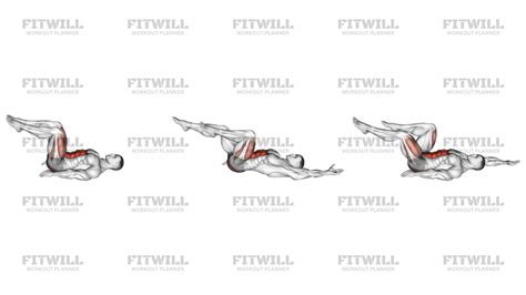 Dead Bug Version 2 Guide Techniques Benefits How To Muscles