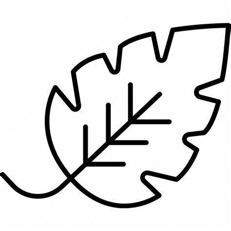 Asset Leaf Autumn Leaves Tree Garden Icon Download On Iconfinder