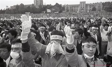 거국중립내각 쟁취 범국민실천대회