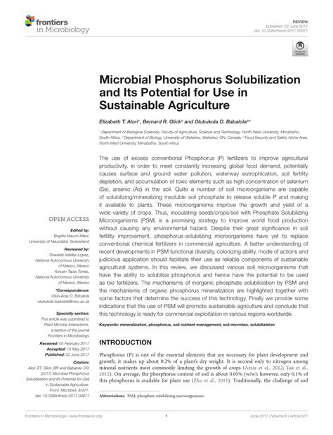 Pdf Microbial Phosphorus Solubilization And Its Potential For Use In Sustainable Agriculture