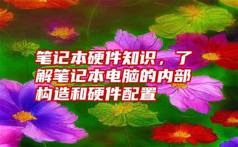 笔记本硬件知识，了解笔记本电脑的内部构造和硬件配置 子期号