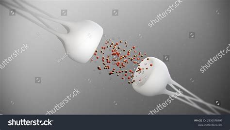 Diagram Simulated Neuron Cell Simulated Illustration Stock Illustration 2230578395 Shutterstock