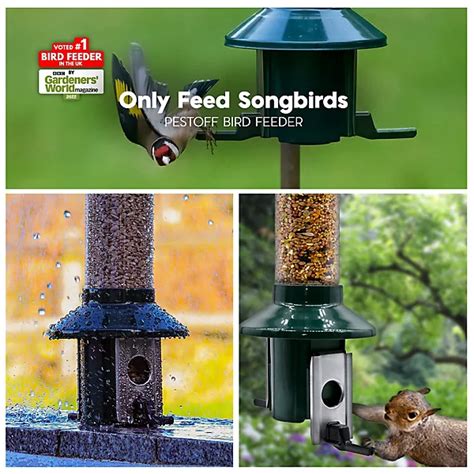 Roamwild Pestoff Green Squirrel Proof Bird Feeder