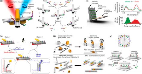 Robotic Dna Nanostructures Acs Synthetic Biology