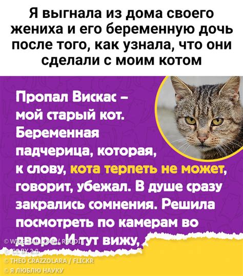 БЕРИ Ссылка в комментарии 👇 Facebook