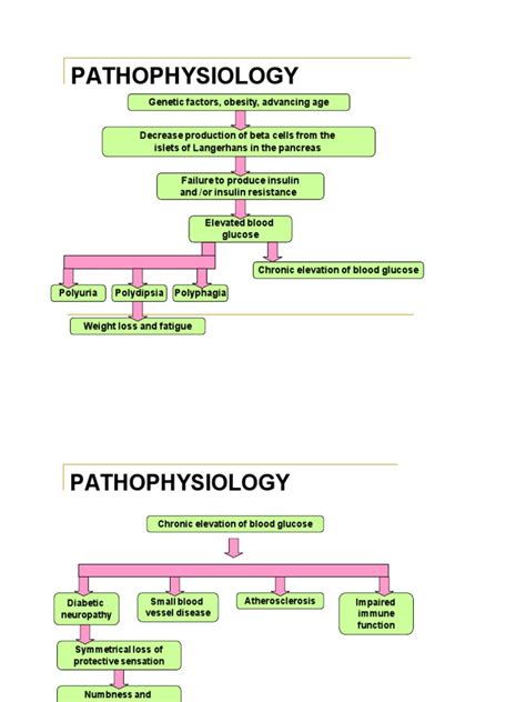 Pathophysiology Concept Map Template