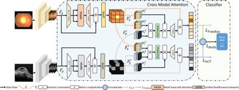 Crd Net Architecture For Multi Modal Retinal Image Classification Download Scientific Diagram
