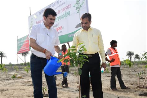 Plantation And Sampling Distribution Utthan India