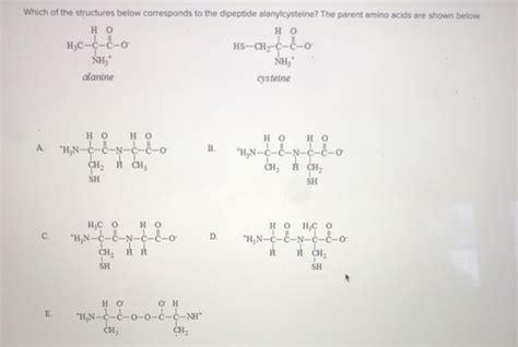 Solved Which Of The Following Polymers Has A Syndiotactic
