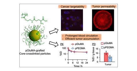Zwitterionic Amino Acid Polymer Grafted Core Crosslinked Particle