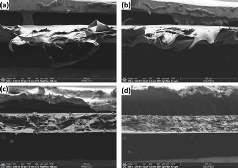 Sem Micrographs Of The Fractured Surfaces For A Neat Sample B 0 1