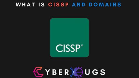 CISSP Domains List It S Importance And Explanation By Cyberbugs
