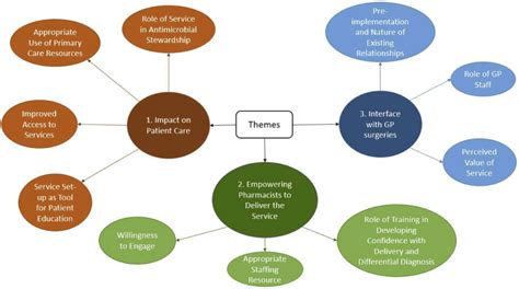 A Schematic Representation Of The Main Themes And Subthemes Emerging