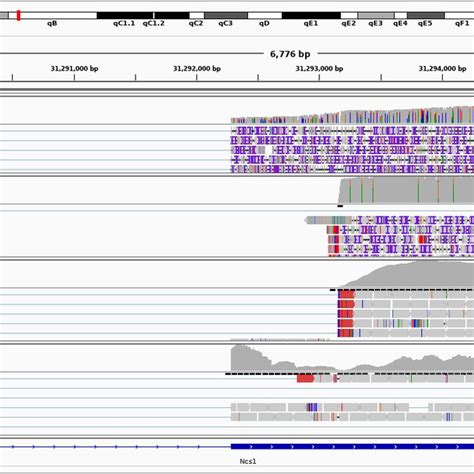 Truncated Reads A Relative Coverage Of Transcripts For The Ont