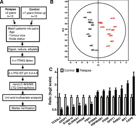 Putative Tamoxifen Predictive Proteins A Proteomics Discovery