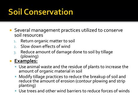 Soil And Its Types PPTX