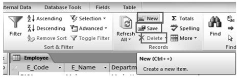 Database Management System Dbms Using Ms Access 2010