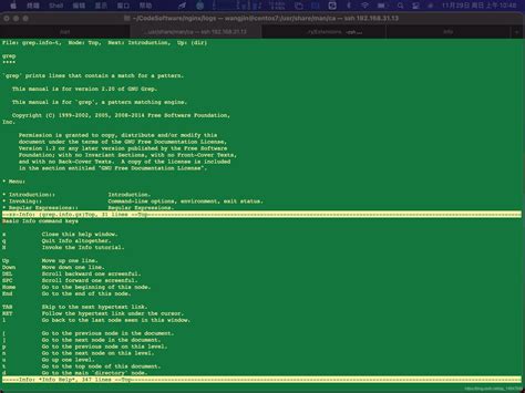 Linux Info 命令详解 Csdn博客