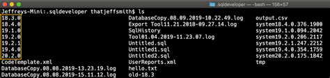 Java On A Mac With SQL Developer
