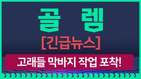 골렘 긴급뉴스 고래들 막바지 작업 포착 Youtube