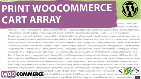 How To Print Woocommerce Cart Array Printr Using Custom Code Youtube