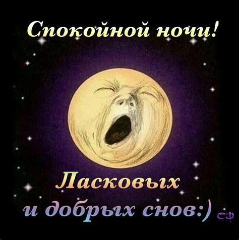 Пин на доске добрый вечер | Смешные открытки, Мысли, Ночь