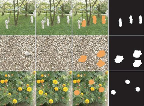 visual results of multiple cmfd using the proposed cmfd method on