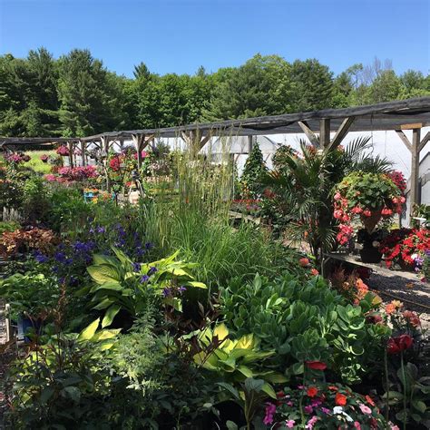 The Backyard Nursery Added A New Photo The Backyard Nursery