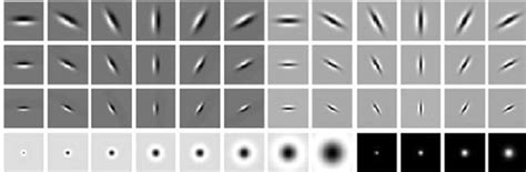 Lm Filter Bank With 48 Filters [15] Download Scientific Diagram