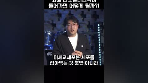 뇌에 나노플라스틱이 들어가면 어떻게 될까 네이버 Tv