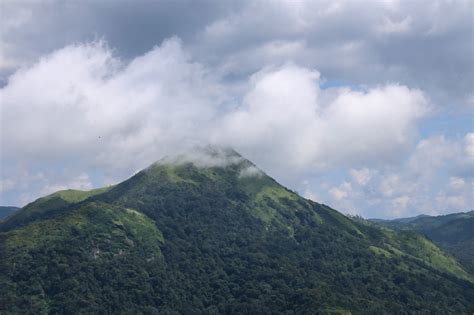 Gallery Neuroelectronics Lab