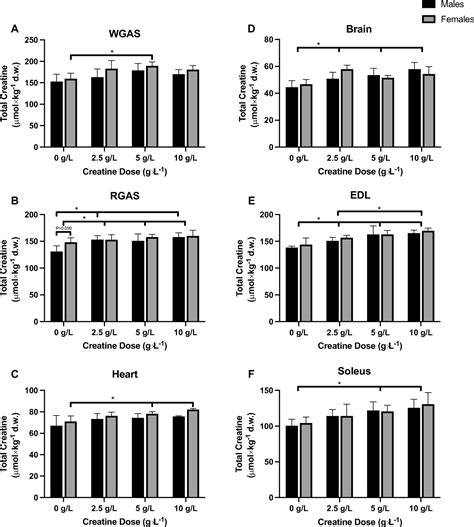 Sex And Tissue Dependent Creatine Uptake In Response To Different Creatine Monohydrate Doses In