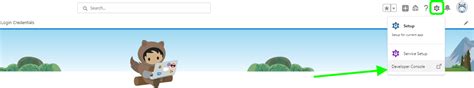 How To Access Developer Console Salesforce Example