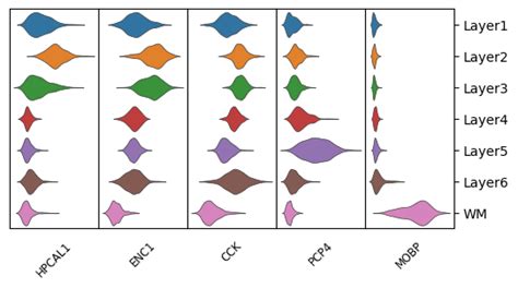 DLPFC Dataset DeepGFT V Documentation