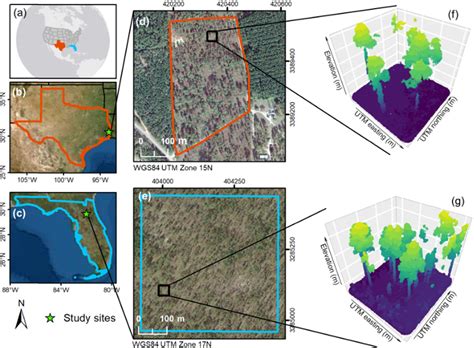 Figure 1 From Individual Tree Detection Using Uav Lidar And Uav Sfm