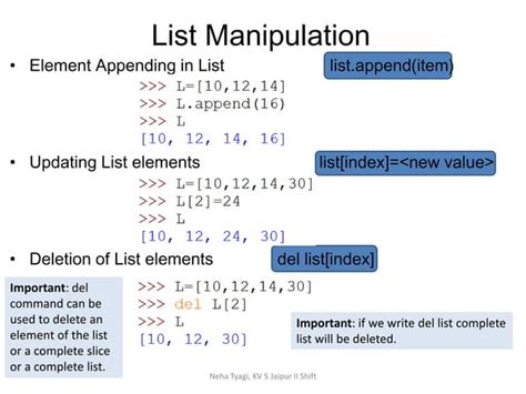Python List Manipulation Basics In Detail Pdf