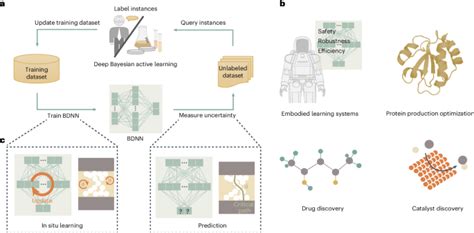 Deep Bayesian Active Learning Using In Memory Computing Hardware